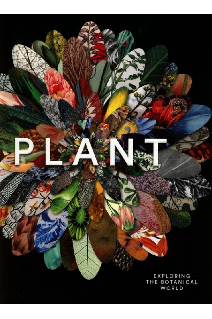 Plant Exploring the Botanical World książka w księgarni TaniaKsiazka.pl